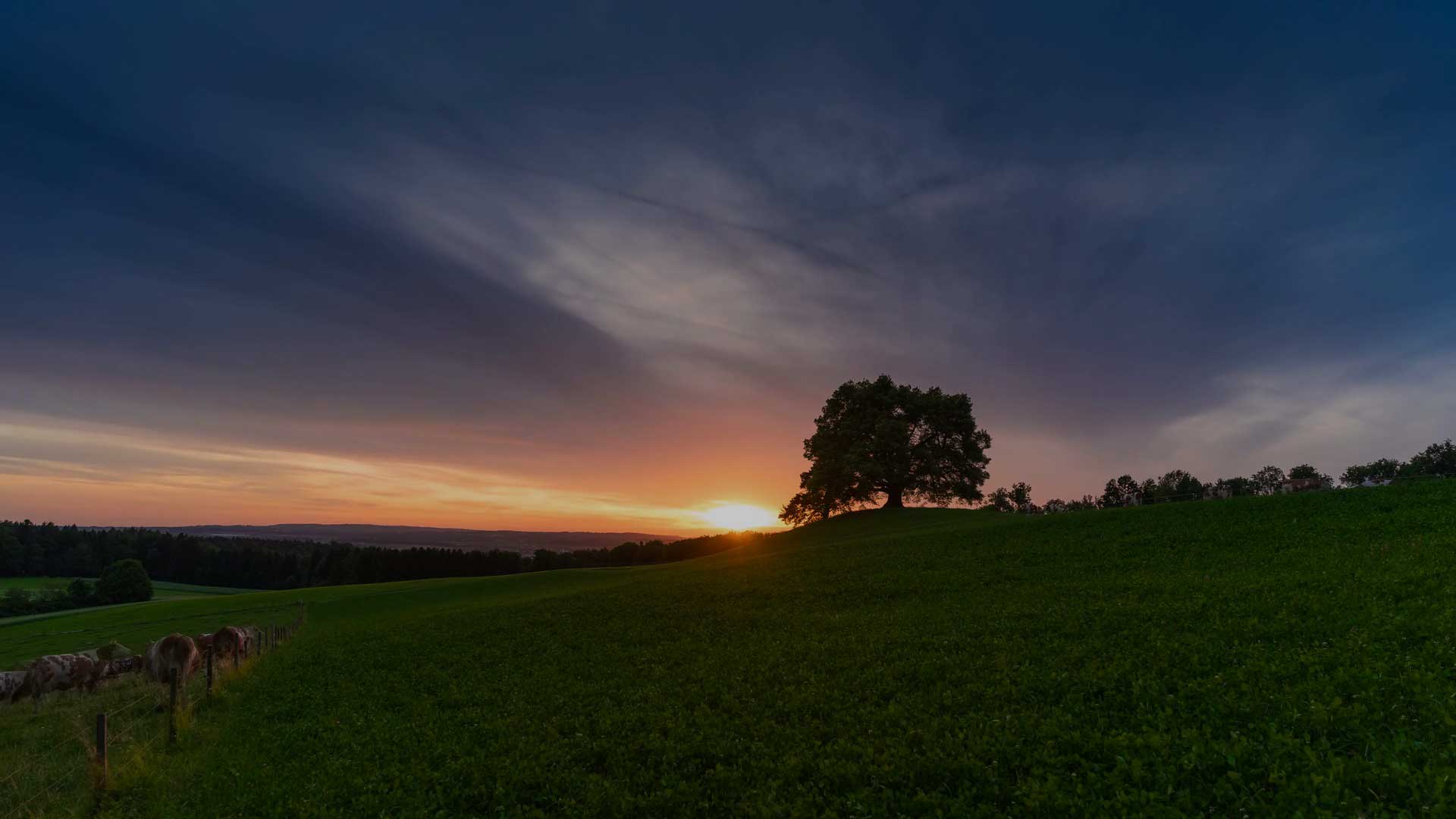 Dallas Ranch | Its long history and started its Cattle Ranch operation ...